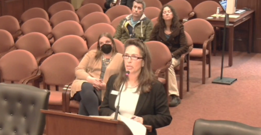 Bill advances to guarantee visitors for patients, long-term care ...