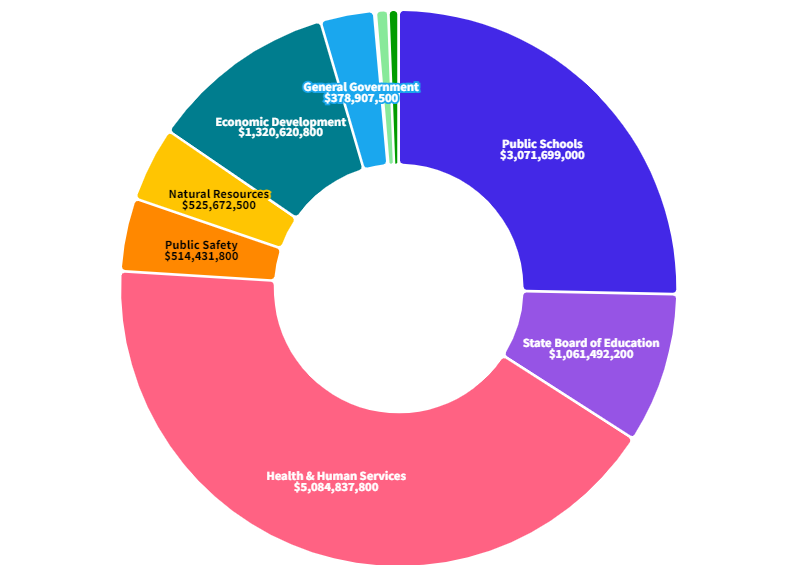 Basic state budgets advance over trepidation from Democrats - Idaho Reports